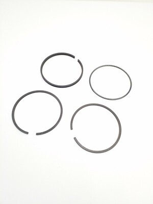 8794 Rotary Piston Ring Set STD Fits Briggs & Stratton 493261 12A800 ...