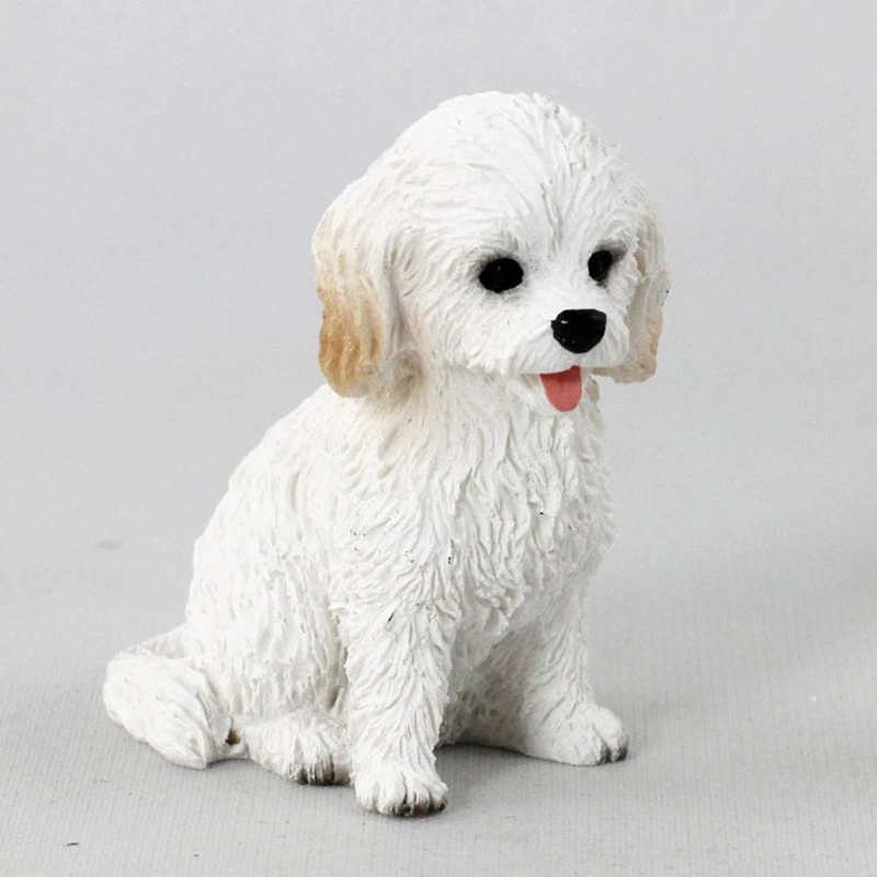 Cockapoo White
