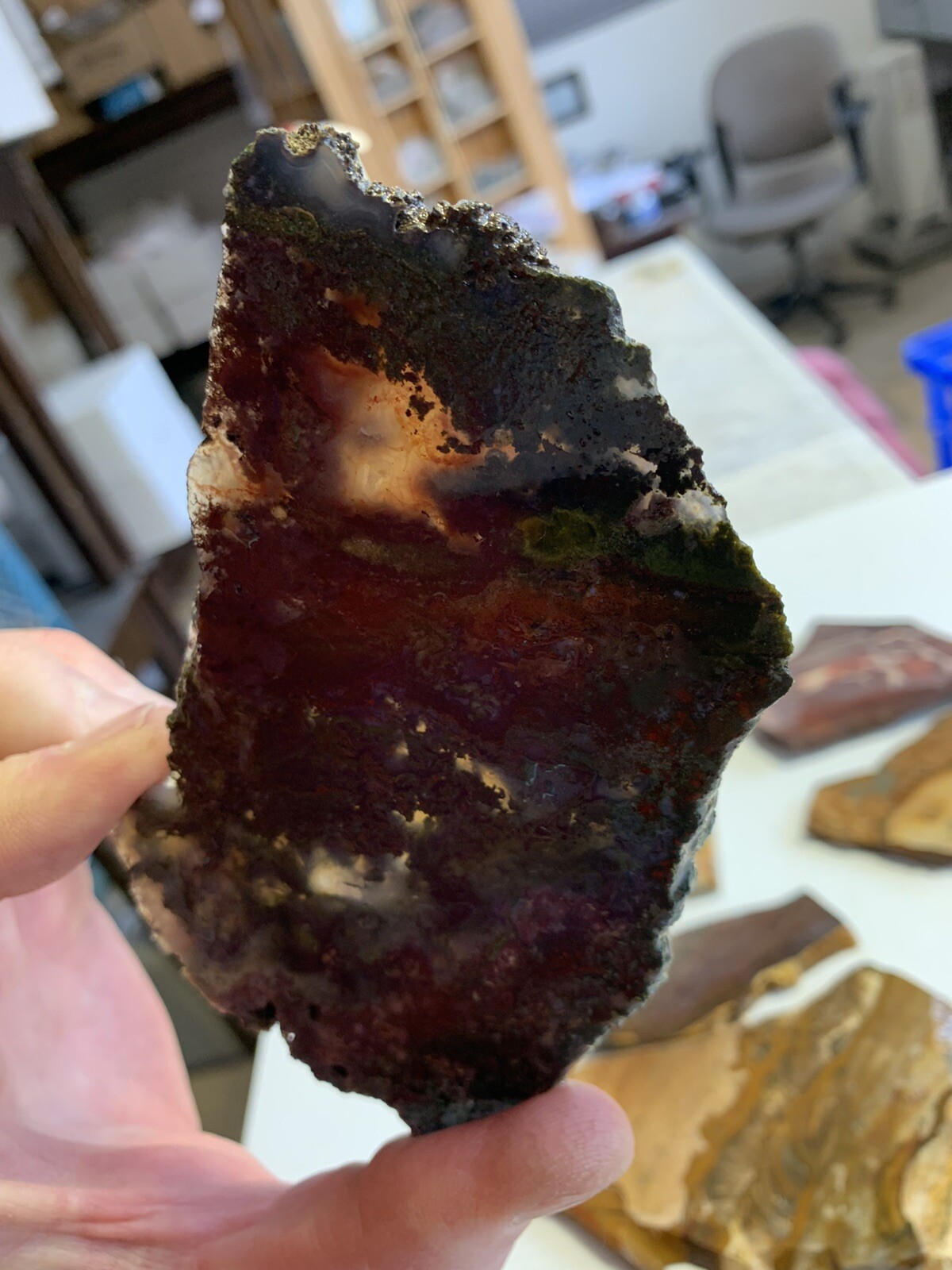 Biggs Jasper ( Oregon)And Others Rough slabs 9 Total | eBay