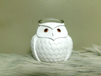 Owl Love