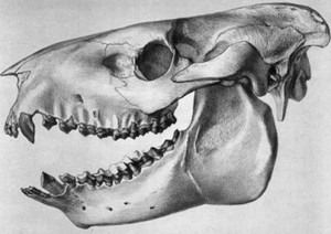 Ryan’s Rare Coins and Antiquities | eBay Stores