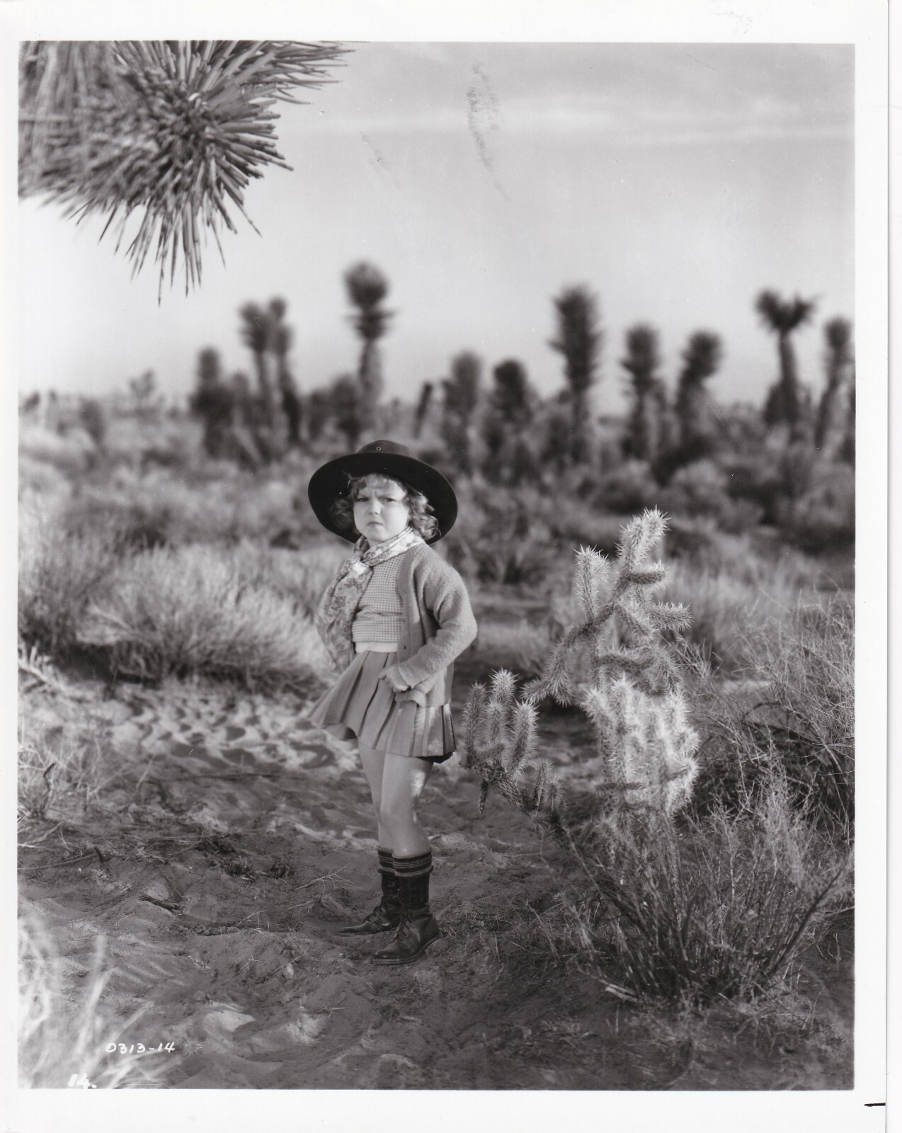 SHIRLEY TEMPLE LOVELY STUNNING PORTRAIT HOLLYWOOD LOVELY PORTRAIT 1950s ...