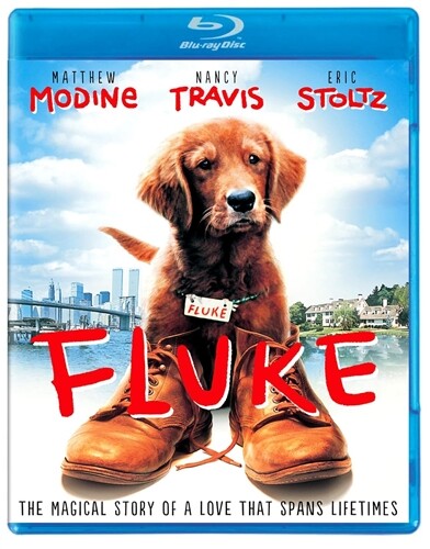 FLUKE New Sealed Blu-ray Matthew Modine Nancy Travis Eric Stoltz ...