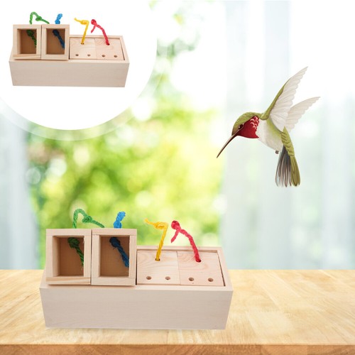 Foraging Box Toys Parrot Intelligence Training Enrichment Bird Chewing ...