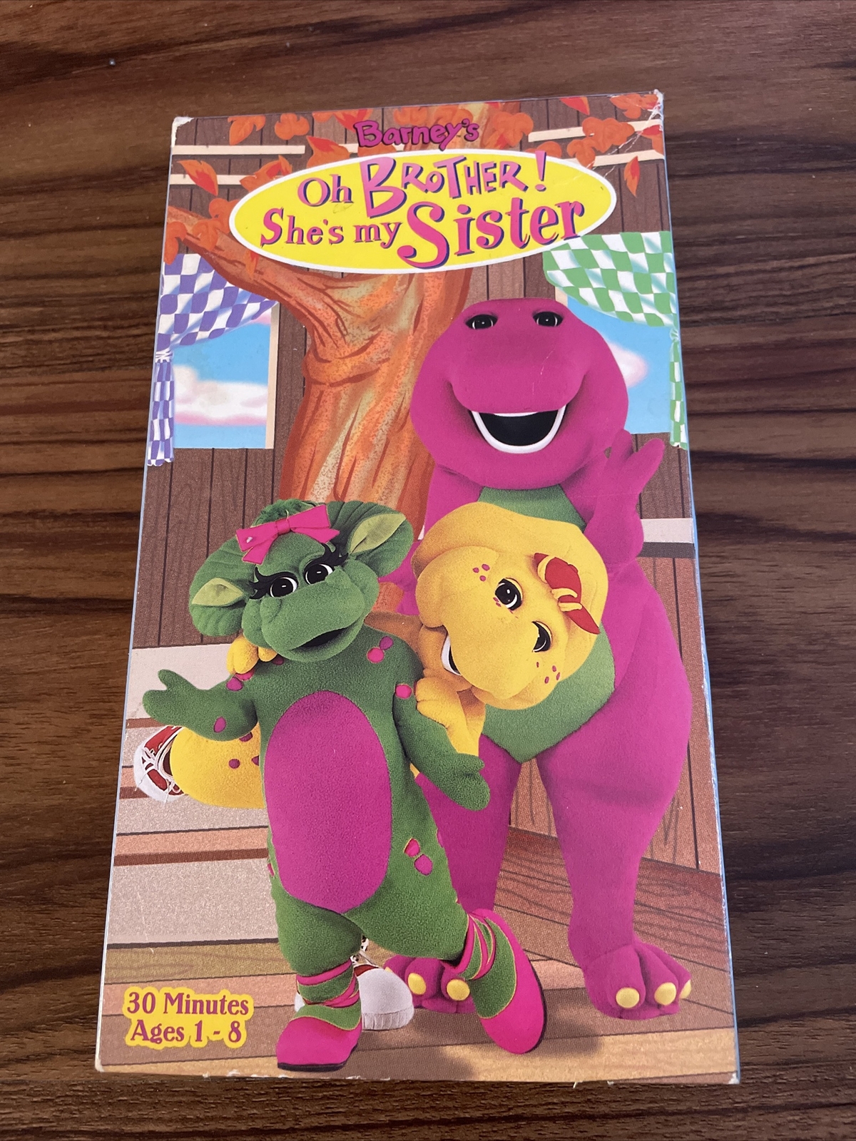 Barney Oh Brother She Sister
