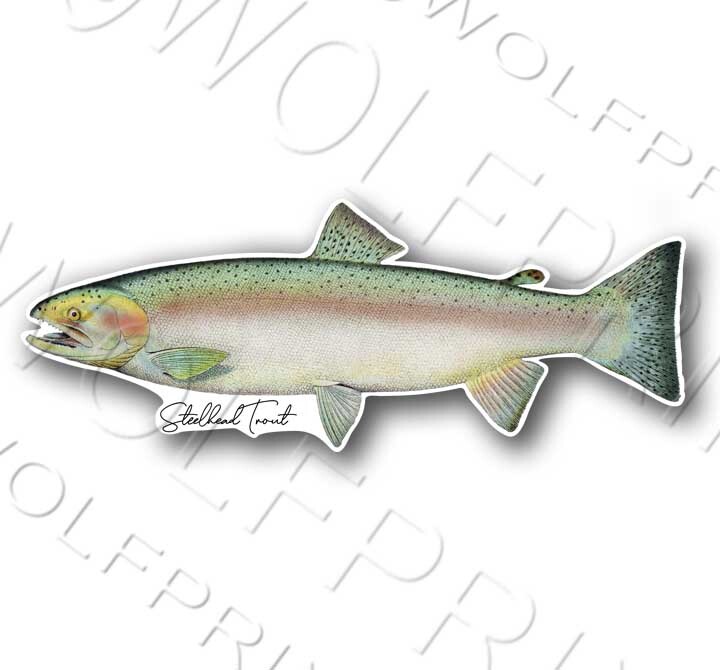 Rainbow Trout Fish Sticker 6" or 11" Wide Walleye Bass Boat Car Window ...