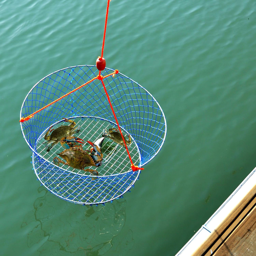 24"20"12"Wire Grid Bottom Crab Nets Two Ring Crab Kit with Harness and ...