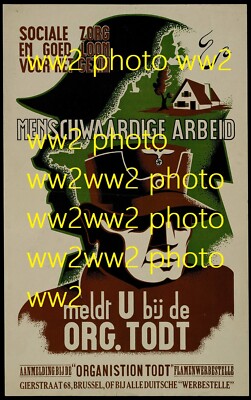 Photo Légion Flandern Belgique Niederlande Langemarck Devlag All Wh ...