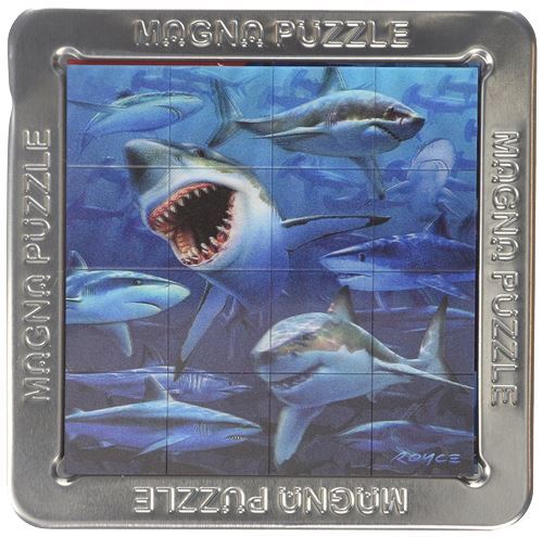 CHEATWELL KIDS FOR GIFT 3D MAGNA MAGNETIC POTRAIT PUZZLES GAME | eBay