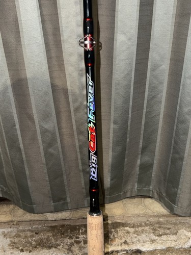Big Cat Fever Catfish Rod | eBay