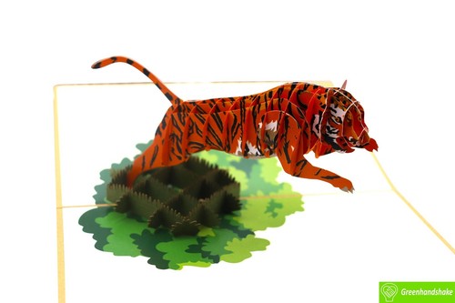 Tiger, Pop Up Card, 3D Popup Greeting Cards for all occasion | eBay