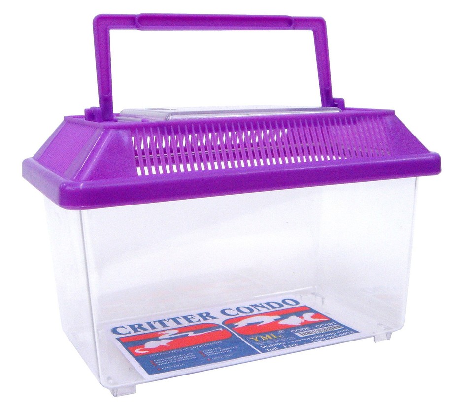CC102 Condo Critter Keeper, 9 x 6 x 6.5, Plastic, Small Pet Vivarium ...