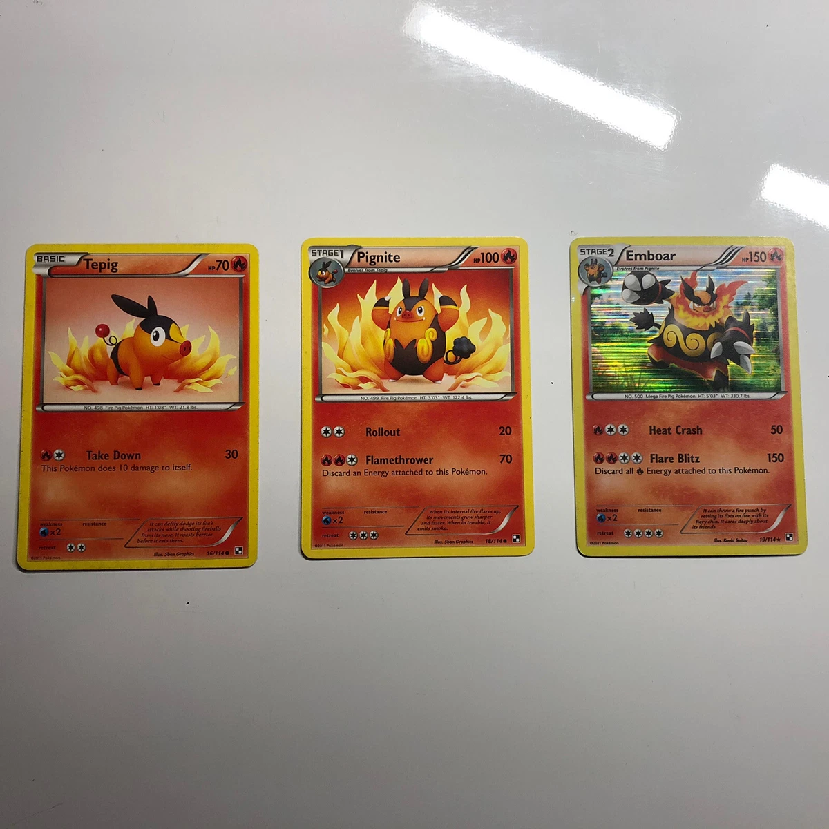 Pokemon Tepig Evolution Chart