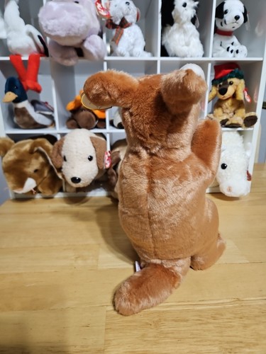 TY Beanie Buddy Plush Pouch the Kangaroo w/ Baby Joey - 2000 Retired w ...