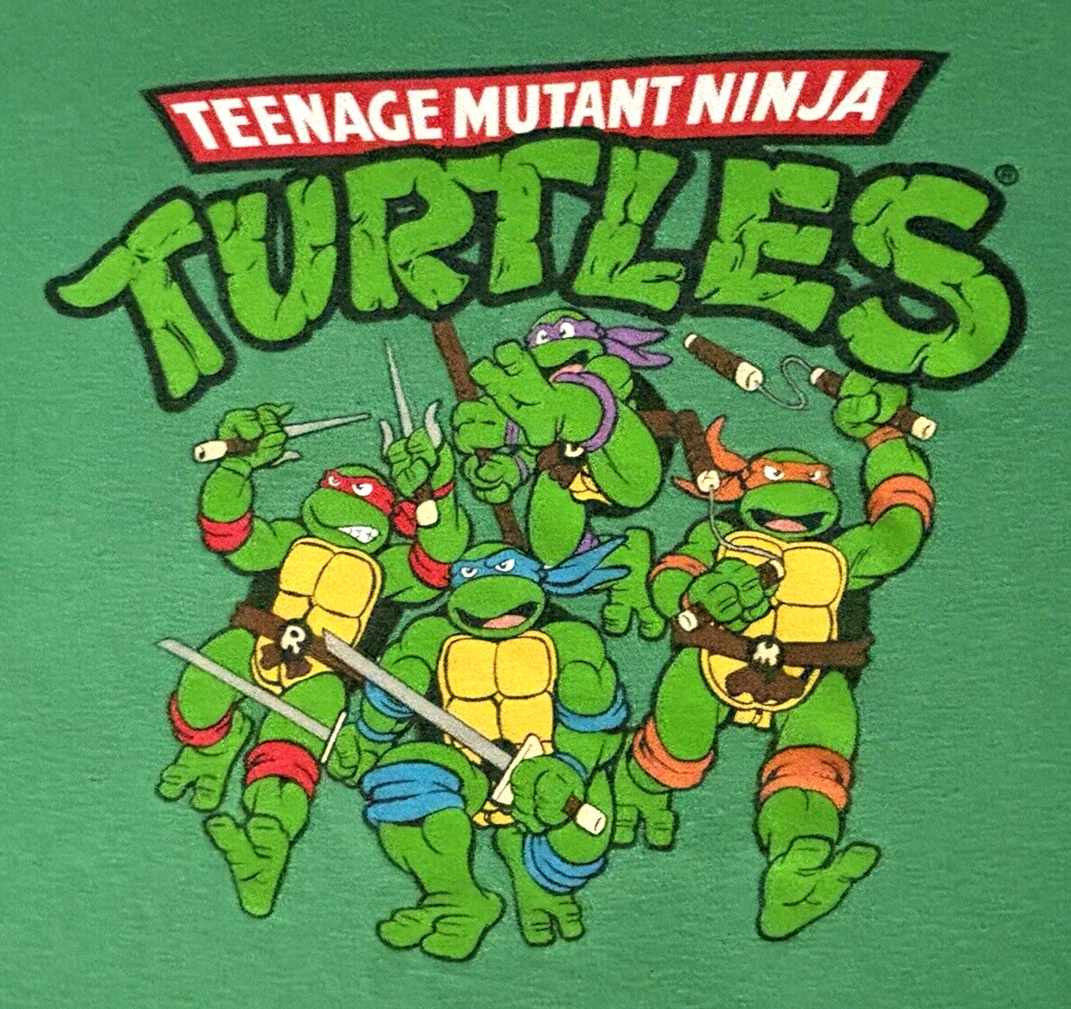 Nickelodeon Green Teenage Mutant Ninja Turtles T-Shir… - Gem