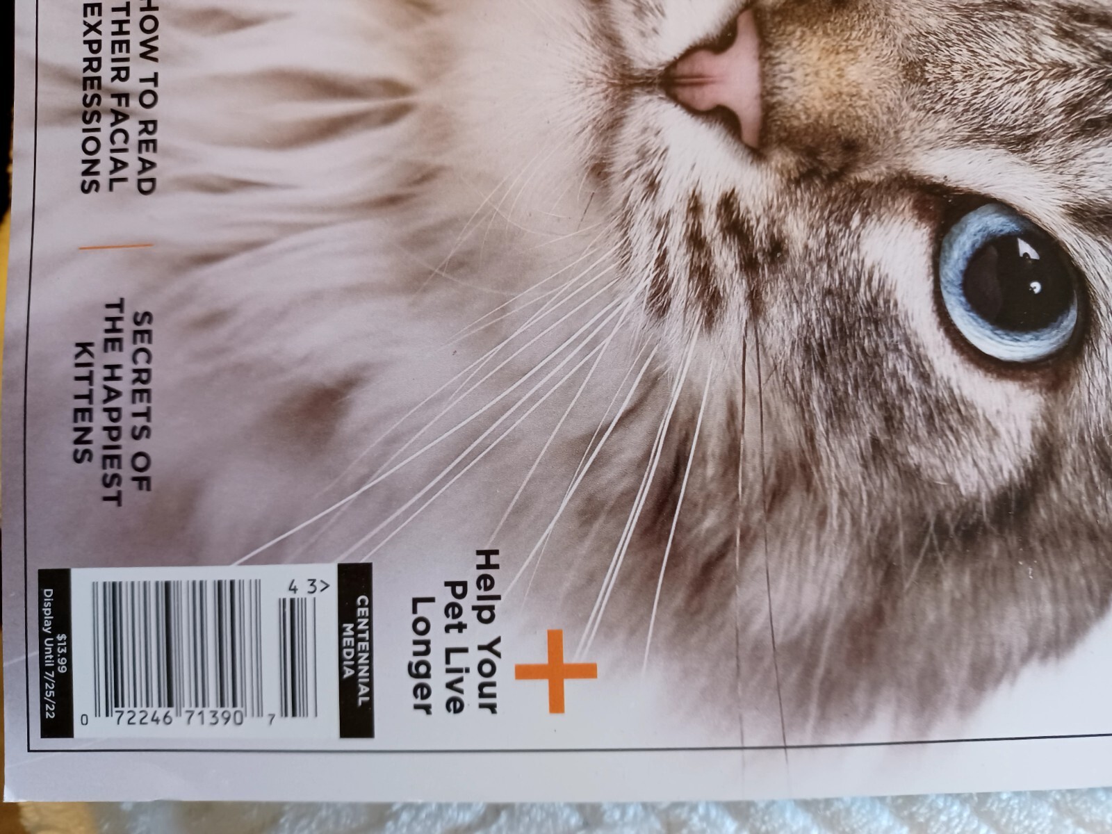 Inside Your Cat's Mind Centennial Media Magazine | eBay