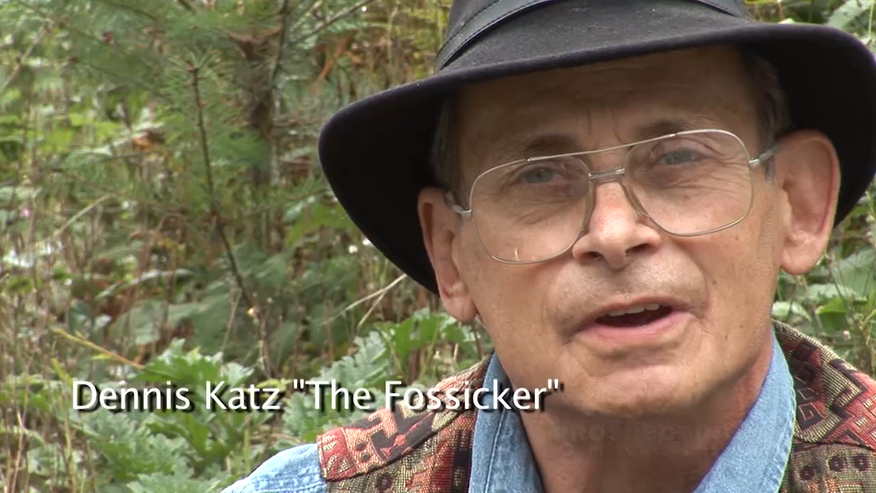 Pyramid Pro Pan + THE MAVERICK GREEN Gold Pans COMBO PACK | eBay