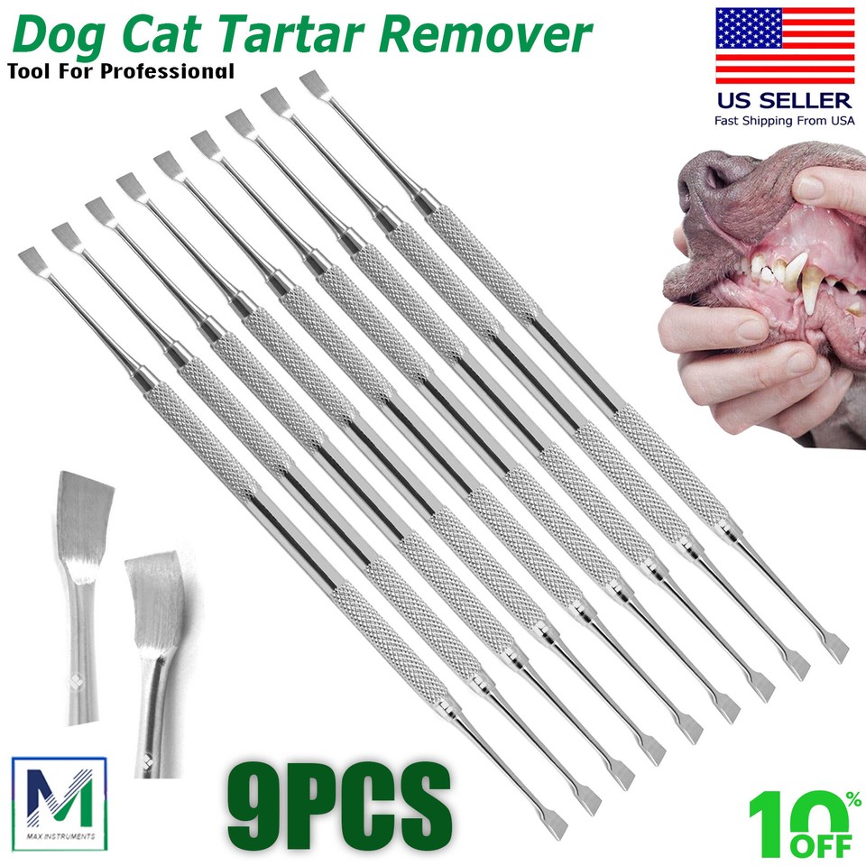 Tartar Calculus Remover Dental Veterinary Dog Pet Tooth Filling ...