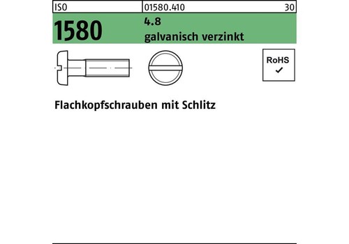 Reyher Flachkopfschraube ISO 1580 m.Schlitz M 6 x 20 4.8 galvanisch ...
