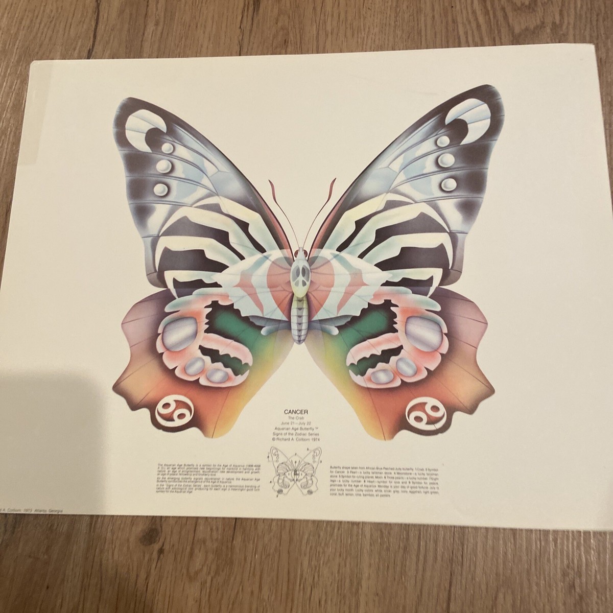 Zodiac butterfly 60 photos - Astrologytoyou.com