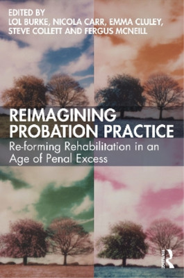 Steve Collett Reimagining Probation Practice (Poche) | eBay