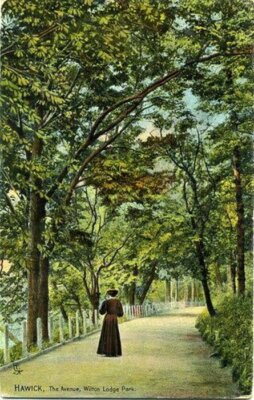 Hawick Scotland The Avenue Wilton Lodge Park OLD PHOTO | eBay