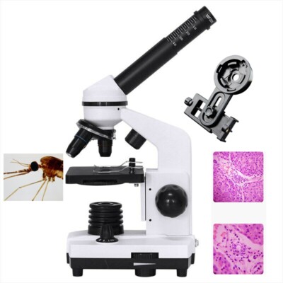 Microscopes - School Microscope