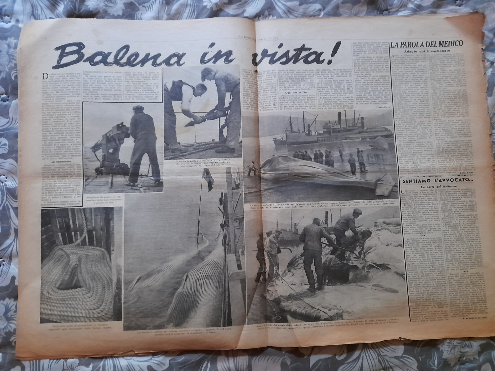 Russian Zeppelin Airship 1938 airship CCCP B6 destroyed in fire - Chile ...