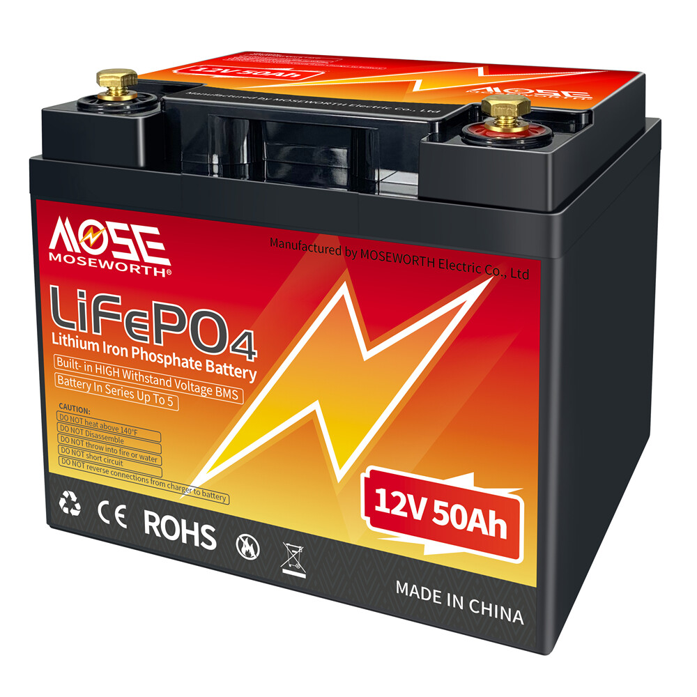 MOSEWORTH 12V 50Ah LiFePO4 Deep Cycle Lithium Battery 50A BMS for ...