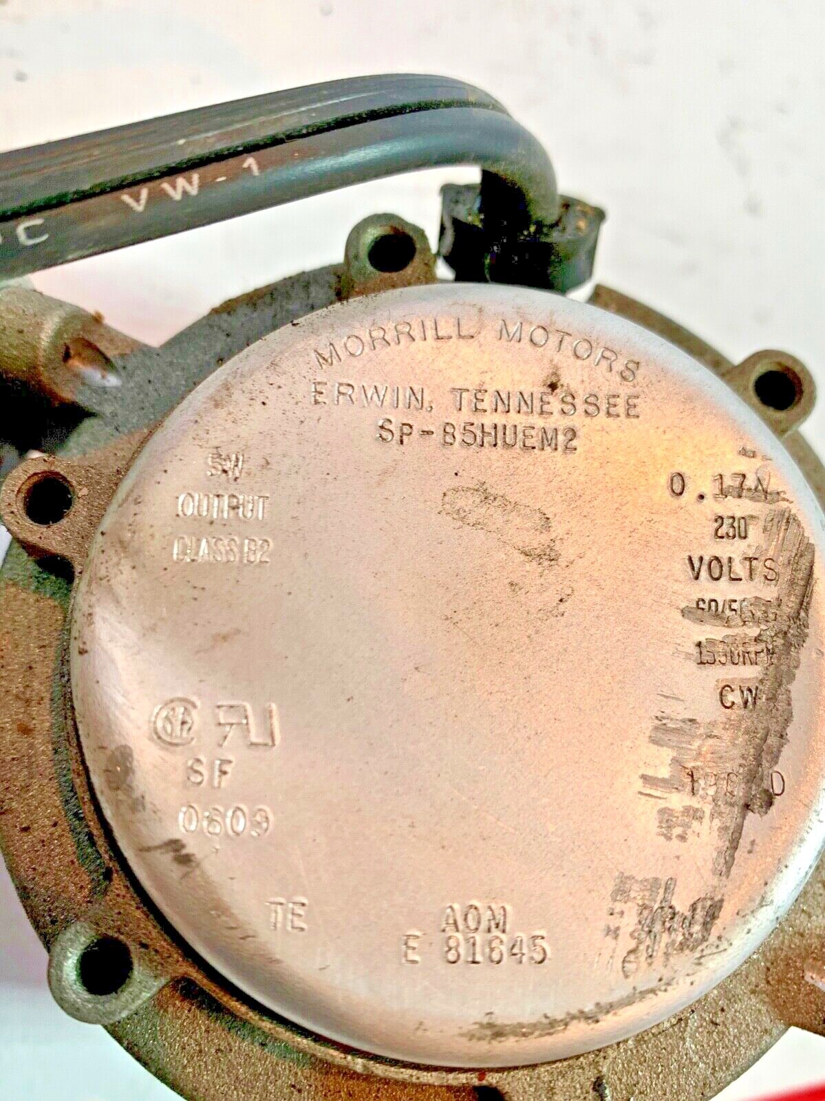 Morrill motors sp-b5huem2, 0.17A, 230V, 60/50HZ | eBay