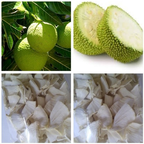 05 kg Dehydrated dried Breadfruit Artocarpus altilis Pure slices Organic | eBay
