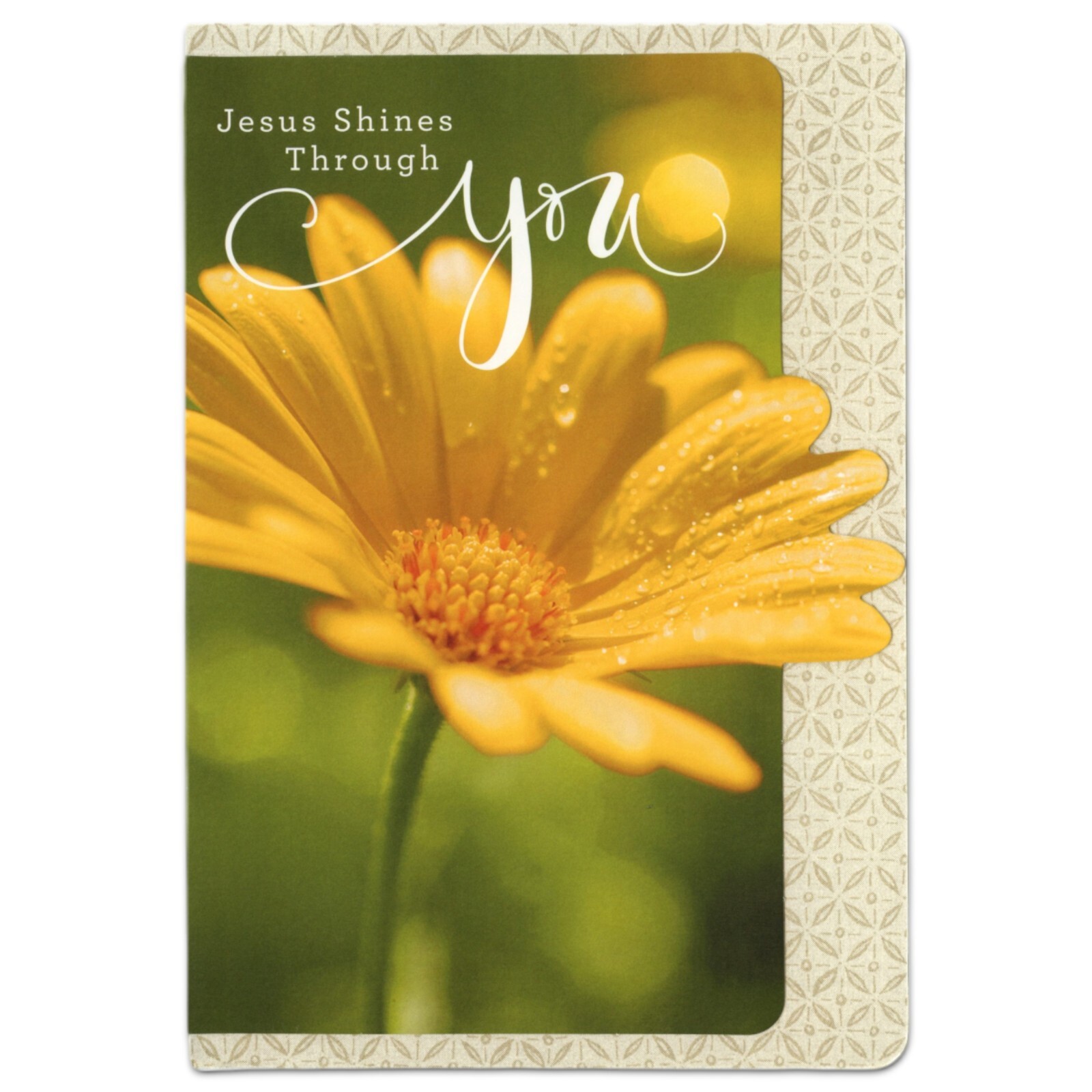 Religious EASTER Card, Jesus Shines Through You Flower by DaySpring ...