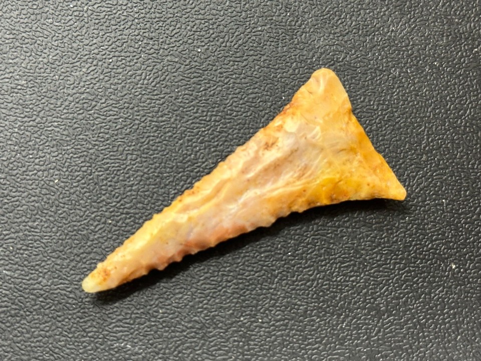 2 5/16" Serrated Fort Ancient Triangle from Ohio, Estate Purchase ...