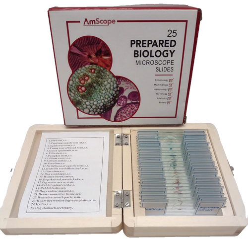 AmScope 25 Prepared Microscope Slides Glass with Wooden Box ...