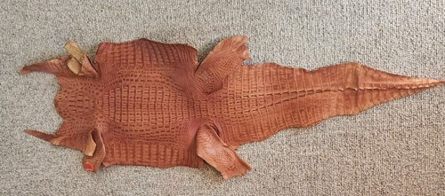 Tan/brown Genuine Caiman Crocodile Back Hide Leather Skin real ...