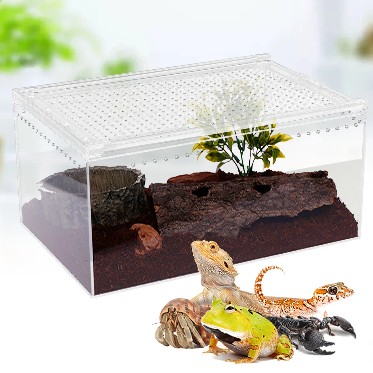Pet Turtles Cages