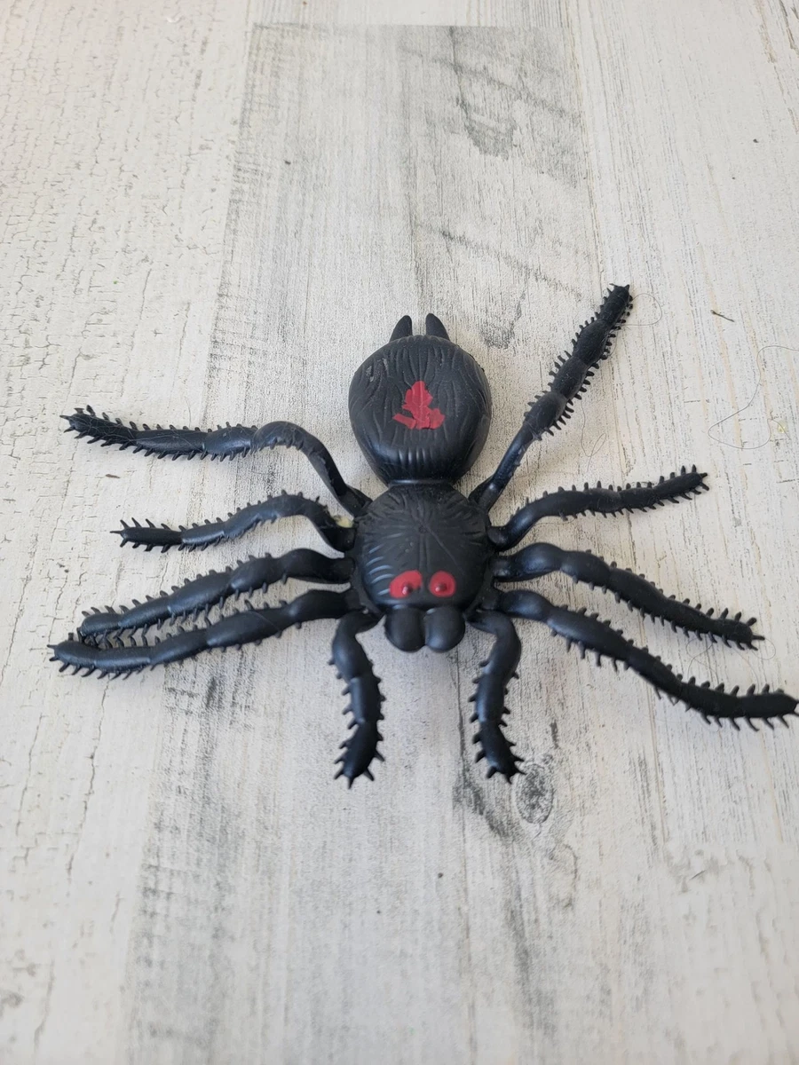 Red Tarantula Spider