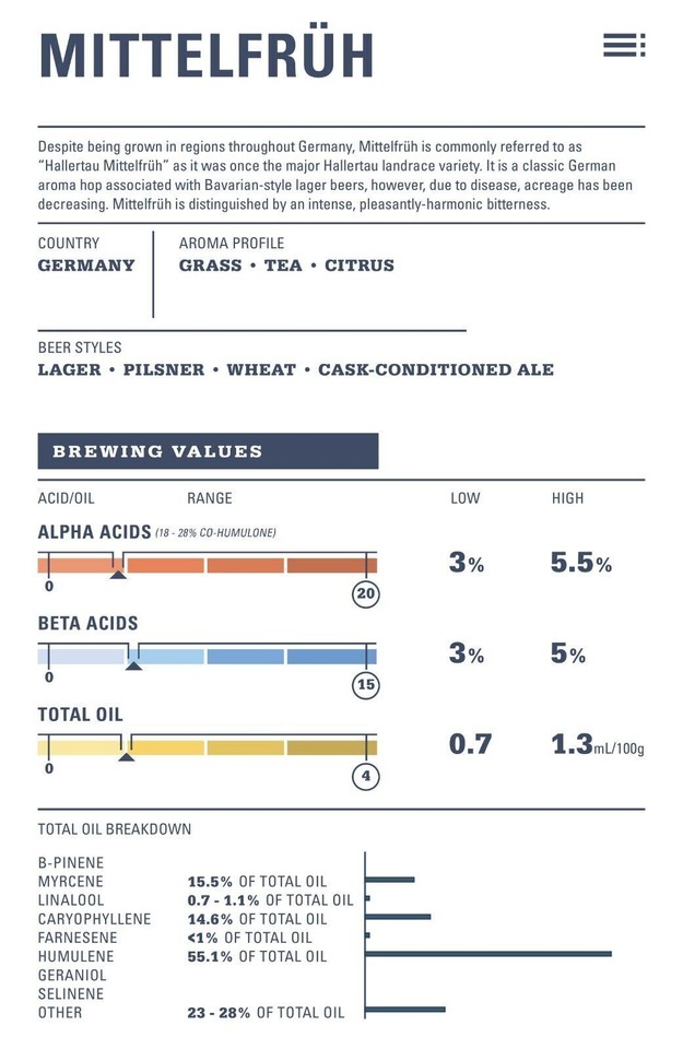 50-100-250g Hops - Citra-Target-Challenger-Fuggles-Saaz-E.K.G-First ...