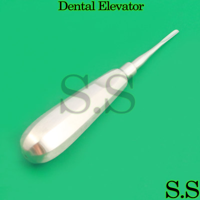 1 PC STRAIGHT DENTAL SURGERY EXTRACTING APICAL ROOT TIP ELEVATOR # 34S ...