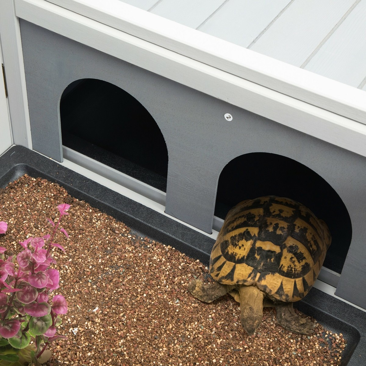 Pet Tortoise House