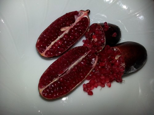 FINGER. LIME SEEDS ~ RARE DEEP RED ~ 10 Fresh Seeds | eBay Australia