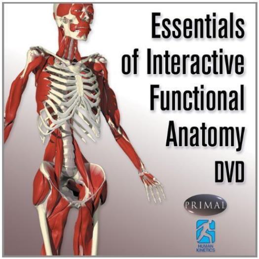 Interactive Muscle Anatomy Interactive Human Body Toy STEM Anatomy