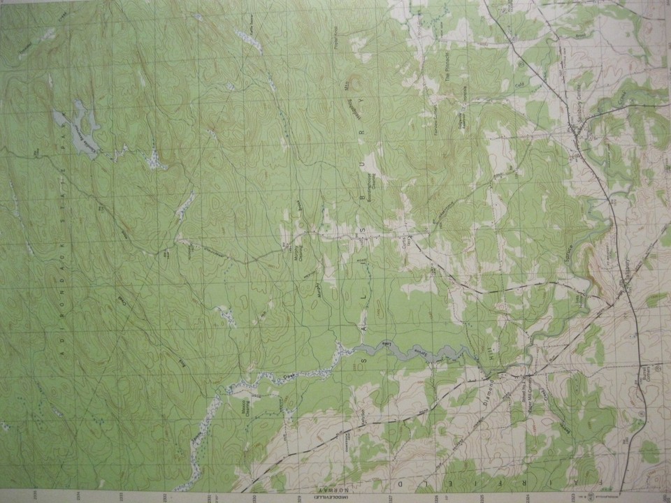 USGS topographic map Salisbury NY | eBay