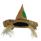 Pointed Raggedy Look Hillbilly Scarecrow Patched Costume Hat with ...
