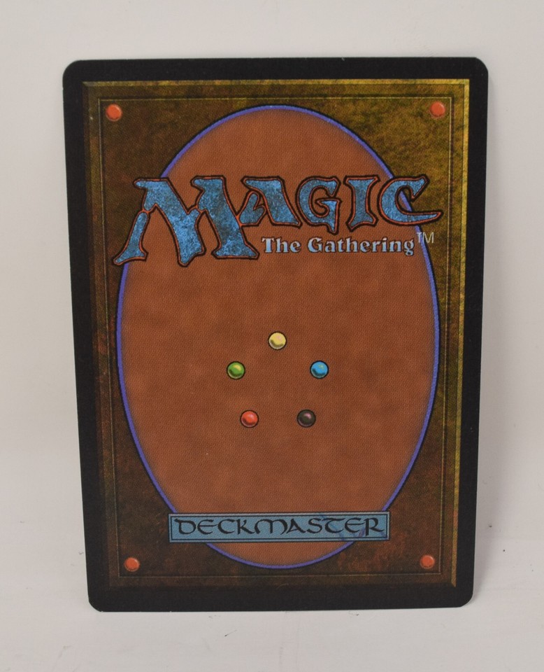 Magic The Gathering MTG Hammerheim Land Card Italian NM | eBay