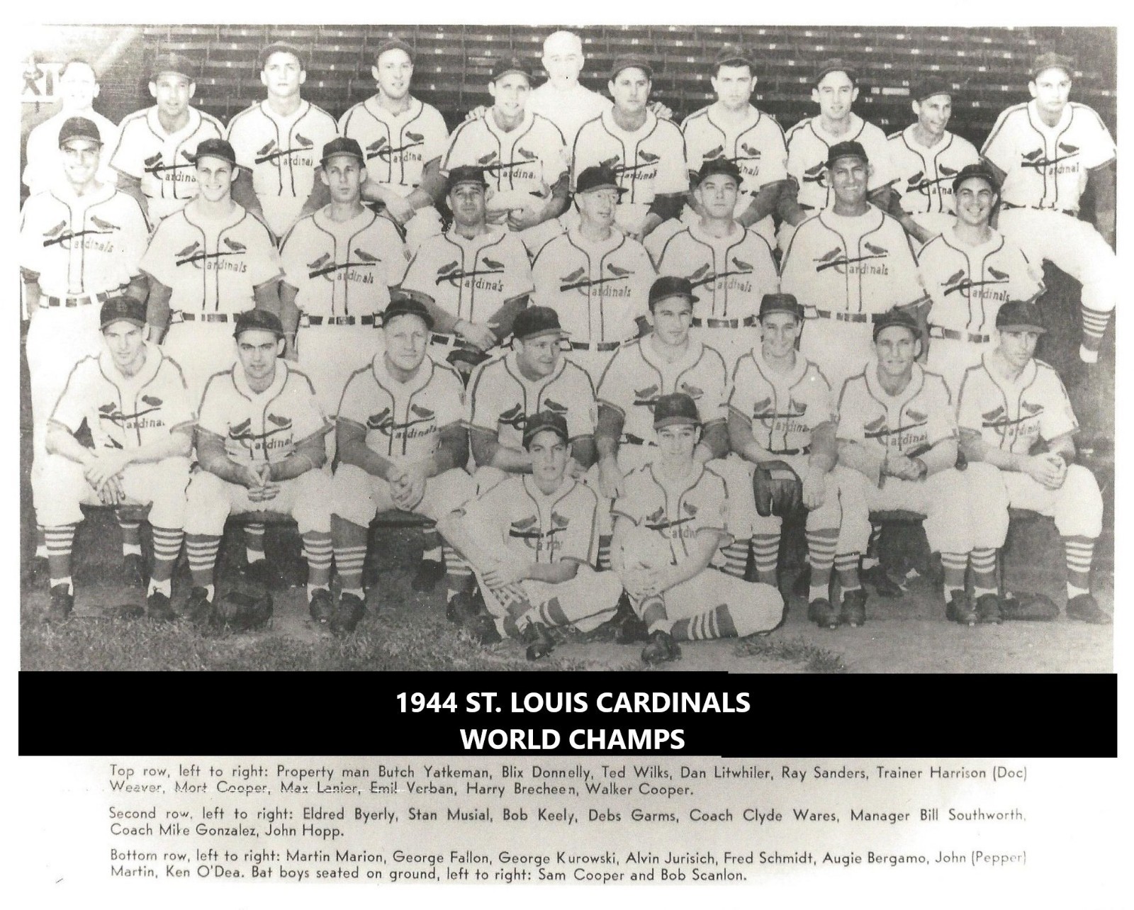 1944 ST. LOUIS CARDINALS 8X10 TEAM PHOTO BASEBALL PICTURE WORLD CHAMPS ...