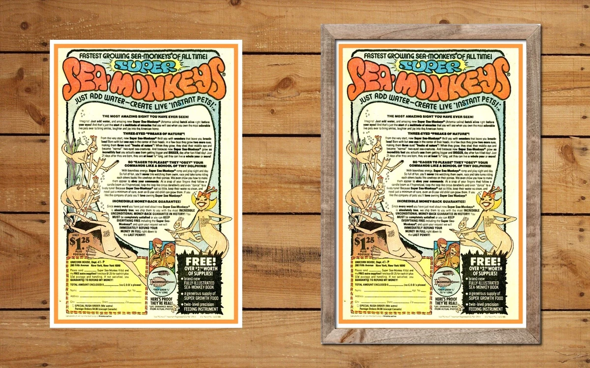 Seamonkey Food Order