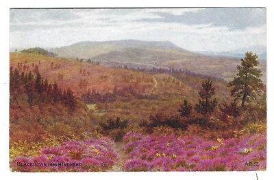 A R Quinton postcard 1066. Blackdown from Hindhead. unused. | eBay