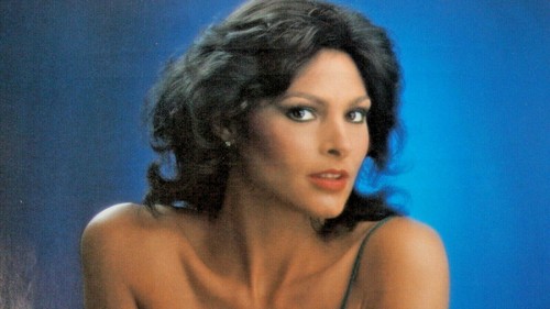 1982 VINTAGE DEBORAH ZULLO - SEXY FEMALE MODEL IN BLUE LINGERIE | eBay