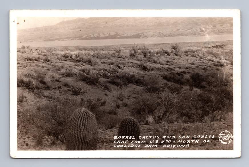 San Carlos Lake & Barrel Cactus RPPC Vintage Coolidge Dam Arizona ...